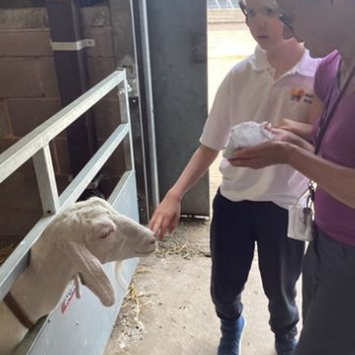 Mary Elliot Academy - Fantastic Visit to Forge Mill Farm